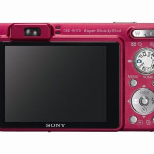 Sony Cybershot DSCW170/R 10.1MP Digital Camera with 5x Optical Zoom with Super Steady Shot (Red)