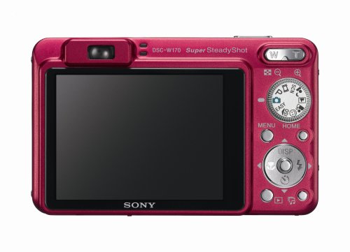 Sony Cybershot DSCW170/R 10.1MP Digital Camera with 5x Optical Zoom with Super Steady Shot (Red)