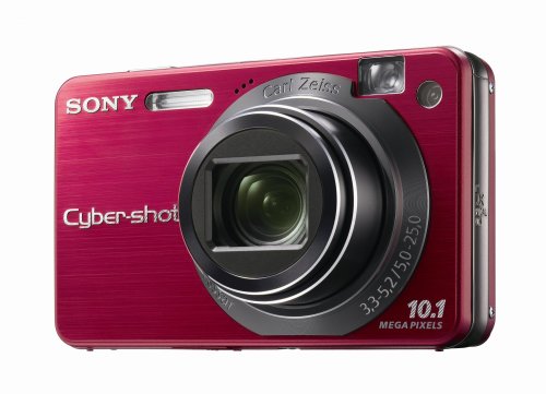 Sony Cybershot DSCW170/R 10.1MP Digital Camera with 5x Optical Zoom with Super Steady Shot (Red)