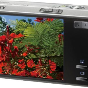 Sony Cybershot DSC-T50 7.2MP Digital Camera with 3x Optical Zoom (Silver)