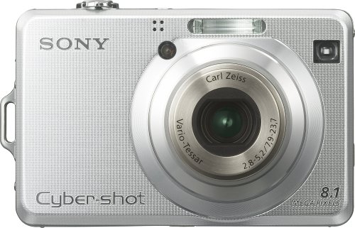 Sony Cybershot DSC-W100 8.1MP Digital Camera with 3x Optical Zoom