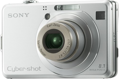 Sony Cybershot DSC-W100 8.1MP Digital Camera with 3x Optical Zoom