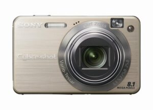 sony cybershot dscw150/g 8.1mp digital camera with 5x optical zoom with super steady shot (gold)