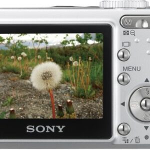 Sony Cybershot S500 6MP Digital Camera with 3x Optical Zoom (OLD MODEL)