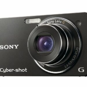 Sony Cyber-shot DSC-WX1/B 10MP "Exmor R" CMOS Digital Camera with 5x Optical Steady Shot Stabilized Zoom and 2.7-inch LCD (Black)