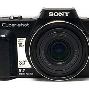 Sony Cybershot DSC-H10 8.1MP Digital Camera with 10x Optical Zoom with Super Steady Shot