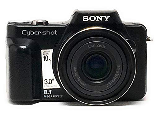 Sony Cybershot DSC-H10 8.1MP Digital Camera with 10x Optical Zoom with Super Steady Shot