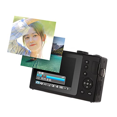 Micro Single Digital Camera, Mirrorless Digital Camera 1920x1080 for Park