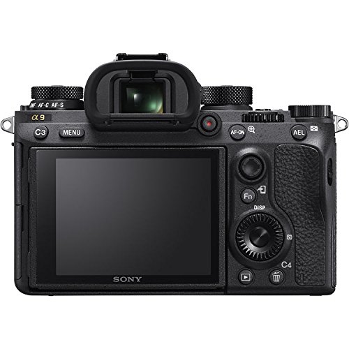 Sony Alpha a9 Mirrorless Digital Camera Base Bundle