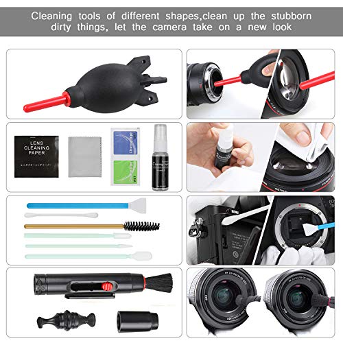 Temery 17-in-1 Camera Cleaning Kit for DSLR Cameras (Canon, Nikon,Sony), with Air Blower/Cleaning Pen/Detergent/Cleaning Cloth/Lens Brush/Carry Case