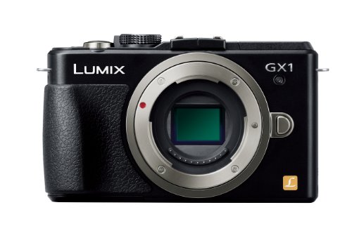 Panasonic Lumix Dmc-gx1 16.0 Mp Digital Camera - Silver (Body Only)