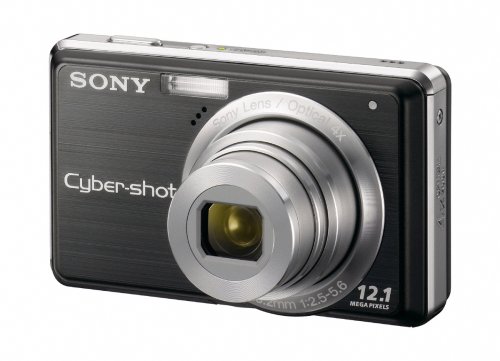 Sony Cybershot DSC-S980 12MP Digital Camera with 4x Optical Zoom with Super Steady Shot Image Stabilization (Black)