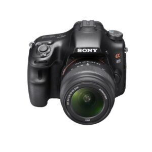 Sony SLT-A65V 24.3 MP Translucent Mirror Digital SLR With 18-55mm Lens