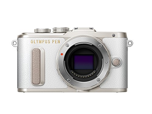 Olympus PEN E-PL8 White Body Only