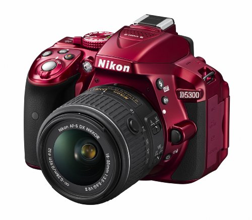 Nikon D5300 24.2 MP CMOS Digital SLR Camera with 18-55mm f/3.5-5.6G ED VR II Auto Focus-S DX NIKKOR Zoom Lens - International Version (No Warranty)