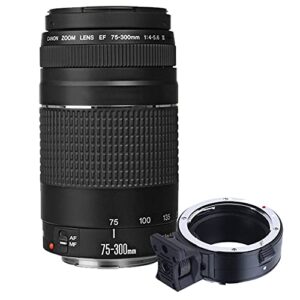 R5 Mirrorless Digital Camera with RF 24-105mm f/4L is USM Lens + 75-300mm F/4-5.6 III Lens + 128GB Memory + Case + Filters + Tripod (26pc Bundle) (Renewed)