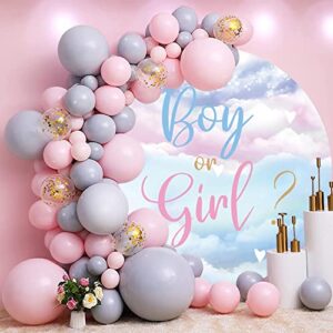 dashan boy or girl ggender reveal decorations backdrop baby gender reveal party supplies gender reveal backdrop banner blue pink clouds round backdrop 6.5×6.5ft polyester