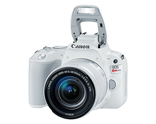 Canon Cameras US 2252C001 EOS Rebel SL2 (WH) EF-S 18-55mm f/4-5.6 STM (BK) Digital SLR Camera Kit, 3", White