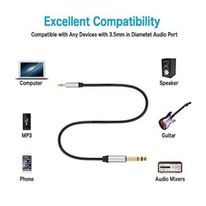 3.5 mm to 6.35 mm Audio Cable 10Ft, Gold-Plated Terminal Silver Color Zinc Alloy Housing 3.5mm 1/8" Male TRS to 6.35mm 1/4" Male TRS Nylon Braided Stereo Audio Cable for CellPhone, Amplifiers(10Ft/3M)