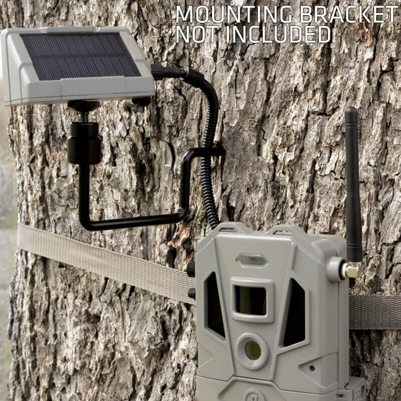 Bushnell CelluCORE 20 Solar Trail Camera, Low Glow Hunting Game Camera with Detachable Solar Panel with Bundle Options (SD Card)