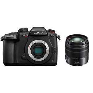 Panasonic Lumix DC-GH5S Mirrorless Digital Camera with Lumix G Vario 14-140mm Lens Combo