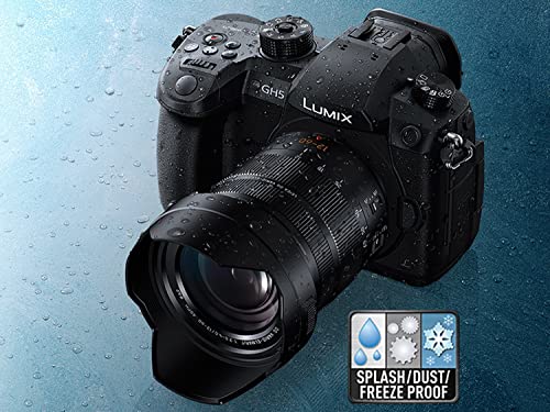 PANASONIC LUMIX GH5 Body 4K Mirrorless Camera, 20.3 Megapixels, Dual I.S. 2.0, 4K 422 10-bit, Full Size HDMI Out, 3 Inch Touch LCD, DC-GH5KBODY (USA Black) (Renewed)