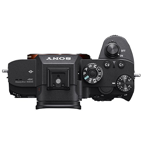 Sony a7R III Mirrorless Full Frame Camera Body New Version ILCE-7RM3A/B Bundle with Deco Gear Photography Bag Case + Extra Battery + 2 x 64GB Memory Cards + Photo Video Software Kit & Accessories