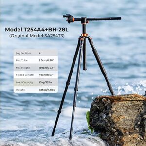 K&F Concept 74 inch Camera Tripod,Professional Center Axis Horizontal Tripods with Detachable Monopod,360 Degree Ball Head,Quick Release Plate Compatible with DSLR Cameras T254A4+BH-28L(SA254T3)