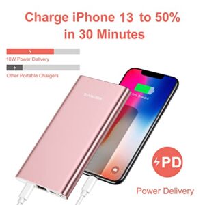 10000mAh PD 3.0 Power Bank Portable Charger Quick Charge USB C 18W Fast Charging Battery Pack Compatible for iPhone 14 13 12 11 X XS Pro MAX XR 8 iPad Mini Samsung Galaxy S20 S10 S9 S8 Smartphone Pink