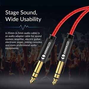 ANNNWZZD 6.35mm(1/4) TRS to 6.35mm(1/4) TRS Stereo Audio Cable 6 Foot Male to Male -(6ft/6FT)