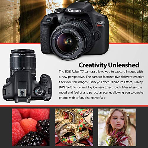 Canon Rebel T7 DSLR Camera with 18-55mm Lens Kit and Sandisk 64GB Ultra Speed Memory Card, Creative Lens Filters, Carrying Case | Limited Edition Bundle (Renewed)