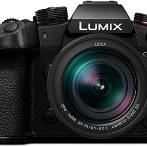 Panasonic LUMIX GH6,Mirrorless Micro Four Thirds Camera w/ 12-60mm F2.8-4.0 Leica Lens (DC-GH6LK) (International Version)