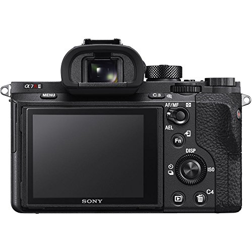 Sony ILCE7RM2/B Alpha a7R II Mirrorless Digital Camera (Body Only) FE 24-70mm f/2.8 GM Lens SEL2470GM + 256GB SDXC Card + NP-FW50 Lithium Ion Battery + External Rapid Charger Bundle