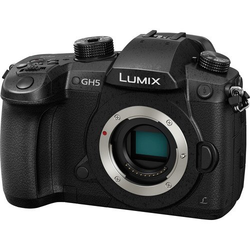 Panasonic Lumix DC-GH5 Mirrorless Micro Four Thirds Digital Camera (Body Only) Bundle with LCD Screen Protectors and More