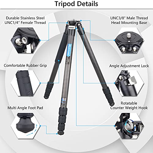 Carbon Fiber Heavy Duty Tripod ARTCISE 81'' Professional Tripod for Camera, 10-Layer Carbon Fibre Tube, 32.5mm Leg with Low Profile Tripod Ball Head for Canon Nikon Sony, DSLR SLR Digital Camcorder