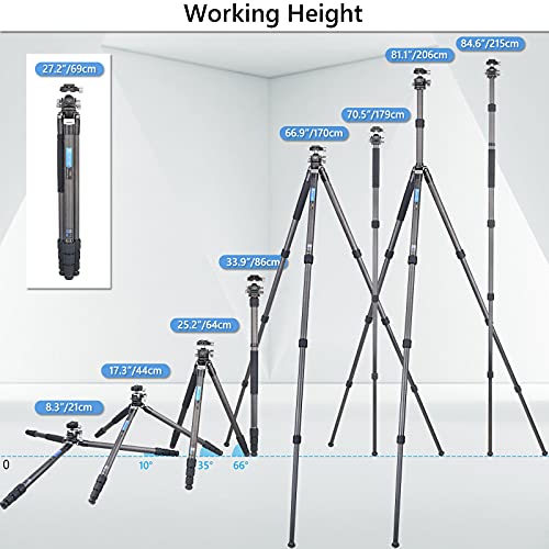 Carbon Fiber Heavy Duty Tripod ARTCISE 81'' Professional Tripod for Camera, 10-Layer Carbon Fibre Tube, 32.5mm Leg with Low Profile Tripod Ball Head for Canon Nikon Sony, DSLR SLR Digital Camcorder