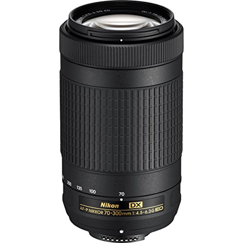 Nikon D7500 Dual Zoom Lens kit (Renewed)