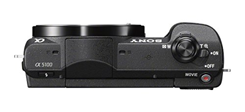 Sony a5100 Mirrorless Digital Camera with 3-Inch Flip Up LCD - Body Only (Black)