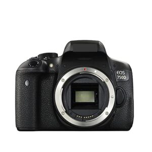 camera eos 750d dslr camera ef-s 18-55mm f/3.5-5.6 is stm lens digital camera (size : body only)