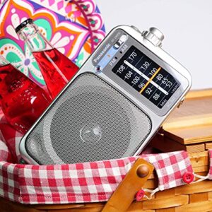 Panasonic RF-2400 AM/FM Radio, Silver