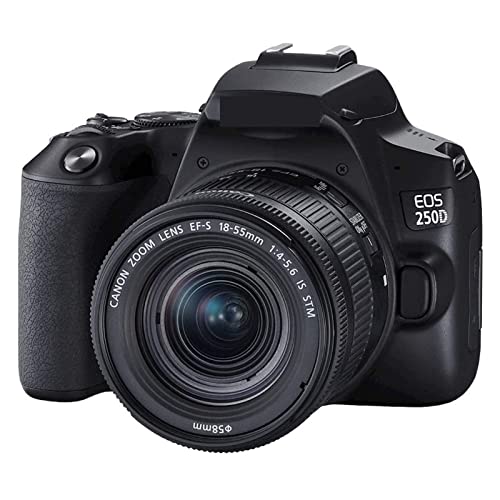 Camera Camera EOS 250D DSLR Digital Camera with EF-S 18-55mm F4-F5.6 STM Lens Digital Camera (Color : EOS 250D-01)