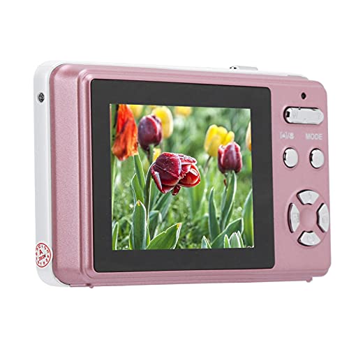 Camera Mini Portable 40MP Digital Camera 2.4 Inch IPS Screen Mini Video Camera with 16x HD Digital Zoom 32GB Video Camera (Blue) (Color : Pink)