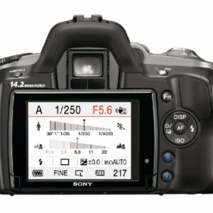 Sony Alpha A380L 14.2 MP Digital SLR Camera with Super SteadyShot INSIDE Image Stabilization and 18-55mm Lens