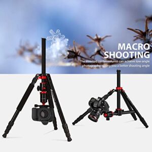 GEEKOTO Camera Tripod, Tripod for DSLR Camera, Aluminum Tripod with 360-Degree Ball Head and Rotatable Center Column, Bag,Video Camcorder Tripod,75-Inch Professional Tripod for Travel and Work.