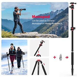 GEEKOTO Camera Tripod, Tripod for DSLR Camera, Aluminum Tripod with 360-Degree Ball Head and Rotatable Center Column, Bag,Video Camcorder Tripod,75-Inch Professional Tripod for Travel and Work.