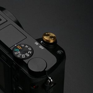 GARIZ XA-SB6 Soft Release Button (Stick-on Type), 0.5 inches (12 mm), Gold