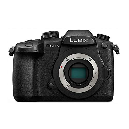 Panasonic LUMIX GH5 4K Mirrorless Camera with 12-35mm Lens,128GB SD Card, Koah Roebling Street Camera System Gadget Bag, Shock Mount, 60” Tripod and Battery and Dual Charger Bundle (7 Items)