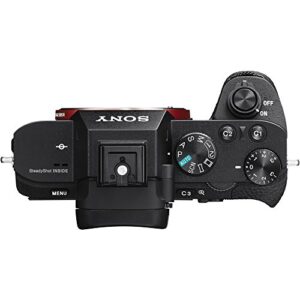 Sony Alpha a7II Mirrorless Interchangeable Lens Camera Body Bundle with 64GB Memory Card, Battery Grip, Flash, Camera Bag, Paintshop Pro, Dual Batteries and Accessories (9 Items)