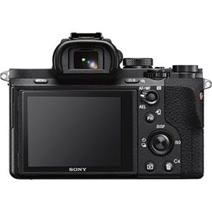 Sony Alpha a7II Mirrorless Interchangeable Lens Camera Body Bundle with 64GB Memory Card, Battery Grip, Flash, Camera Bag, Paintshop Pro, Dual Batteries and Accessories (9 Items)