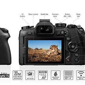 Olympus OM-D E-M1 Mark II, Micro Four Thirds System Camera, 16 Megapixels, 5-Axis Image Stabilizer, Electronic Viewfinder, Black